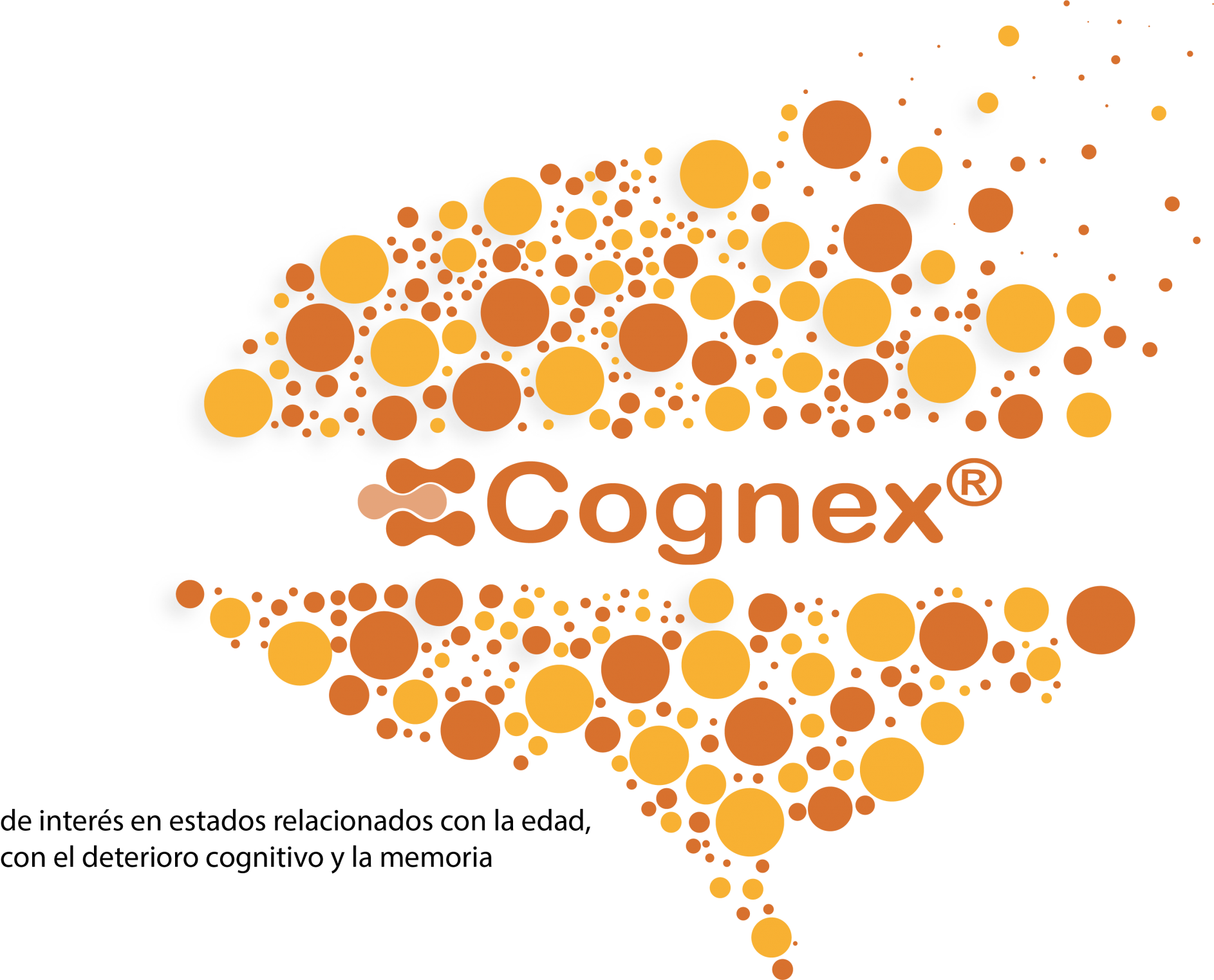 Cognex® una nueva ayuda útil en el deterioro cognitivo y la memoria ...